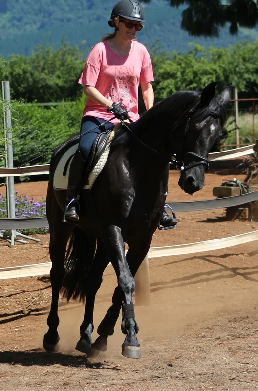 The Benefits of dressage training for horse and rider - 4theloveofhorses