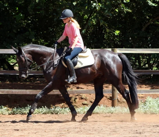 The Benefits of dressage training for horse and rider - 4theloveofhorses