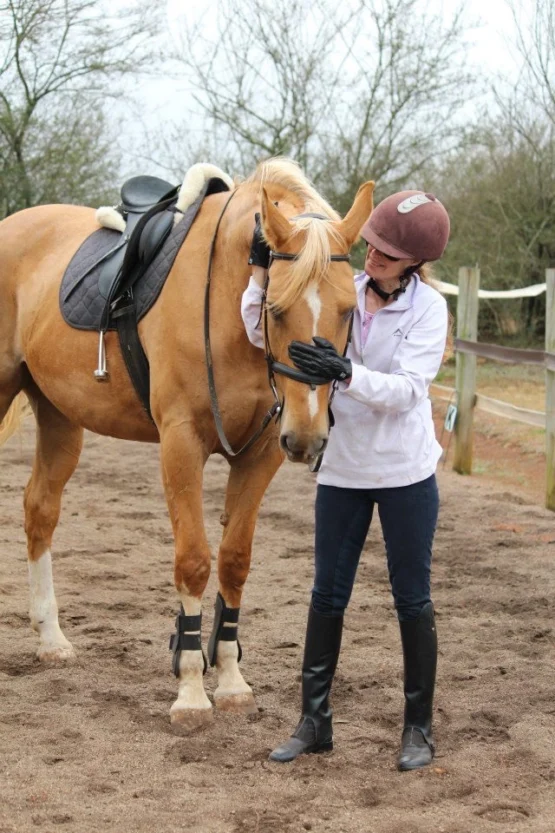 The Trusting Bond: Why Horses Allow Us to Ride Them - 4theloveofhorses