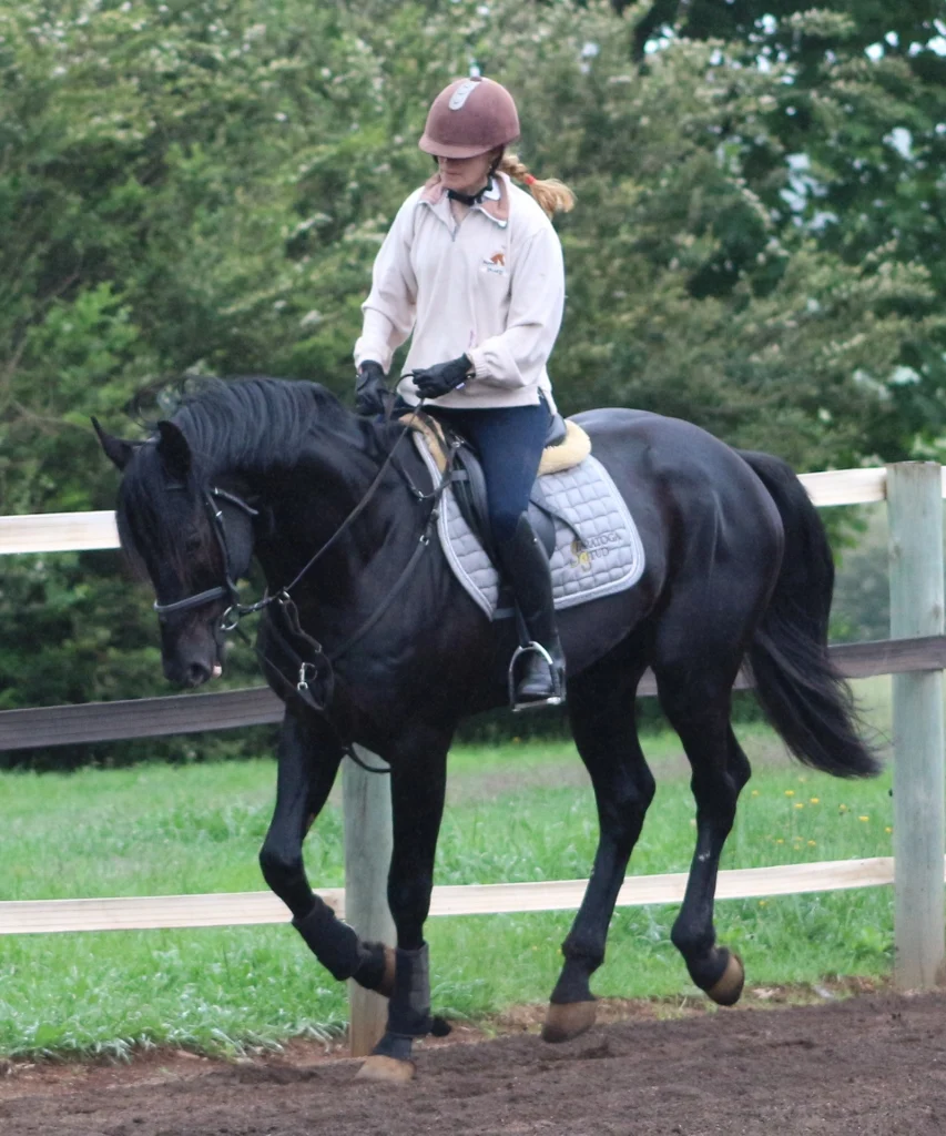 Horseback Dreams: The Art of Setting Realistic Riding Goals ...