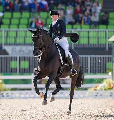 Riding to Success: Discovering the Shared Qualities of Champion Horse ...