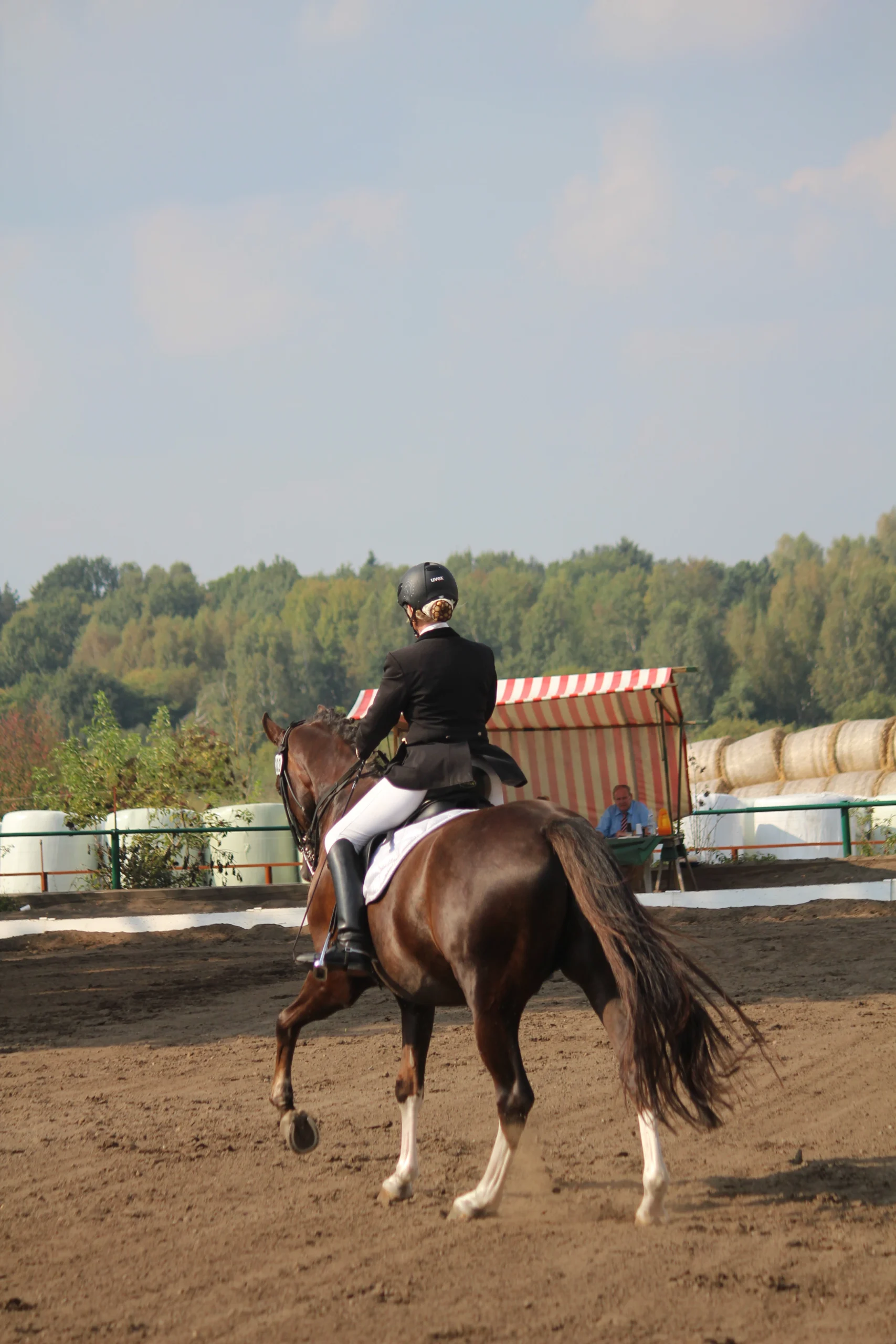 Understanding Dressage: The Principles and Objectives of the Sport ...