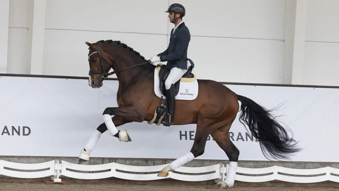 Understanding Dressage: The Principles and Objectives of the Sport ...