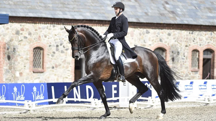 Understanding Dressage: The Principles and Objectives of the Sport ...